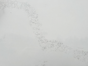 TCE4018 Detail – Cosmos Quartz Granite