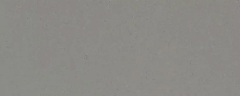 4030 STONE GREY – Cosmos Quartz Granite